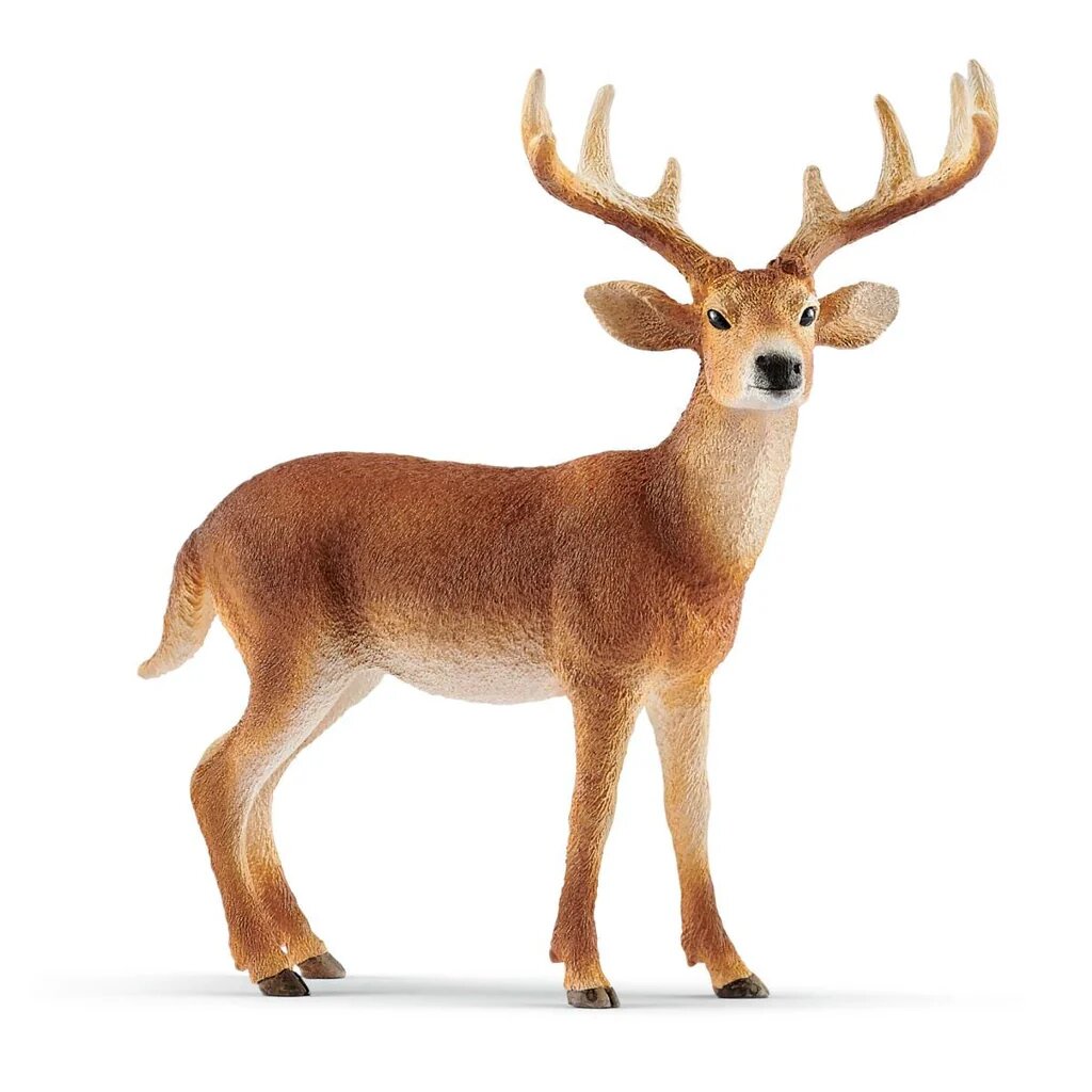 Фигурка Schleich Белохвостый олень - самец, арт.14818, коллекционная