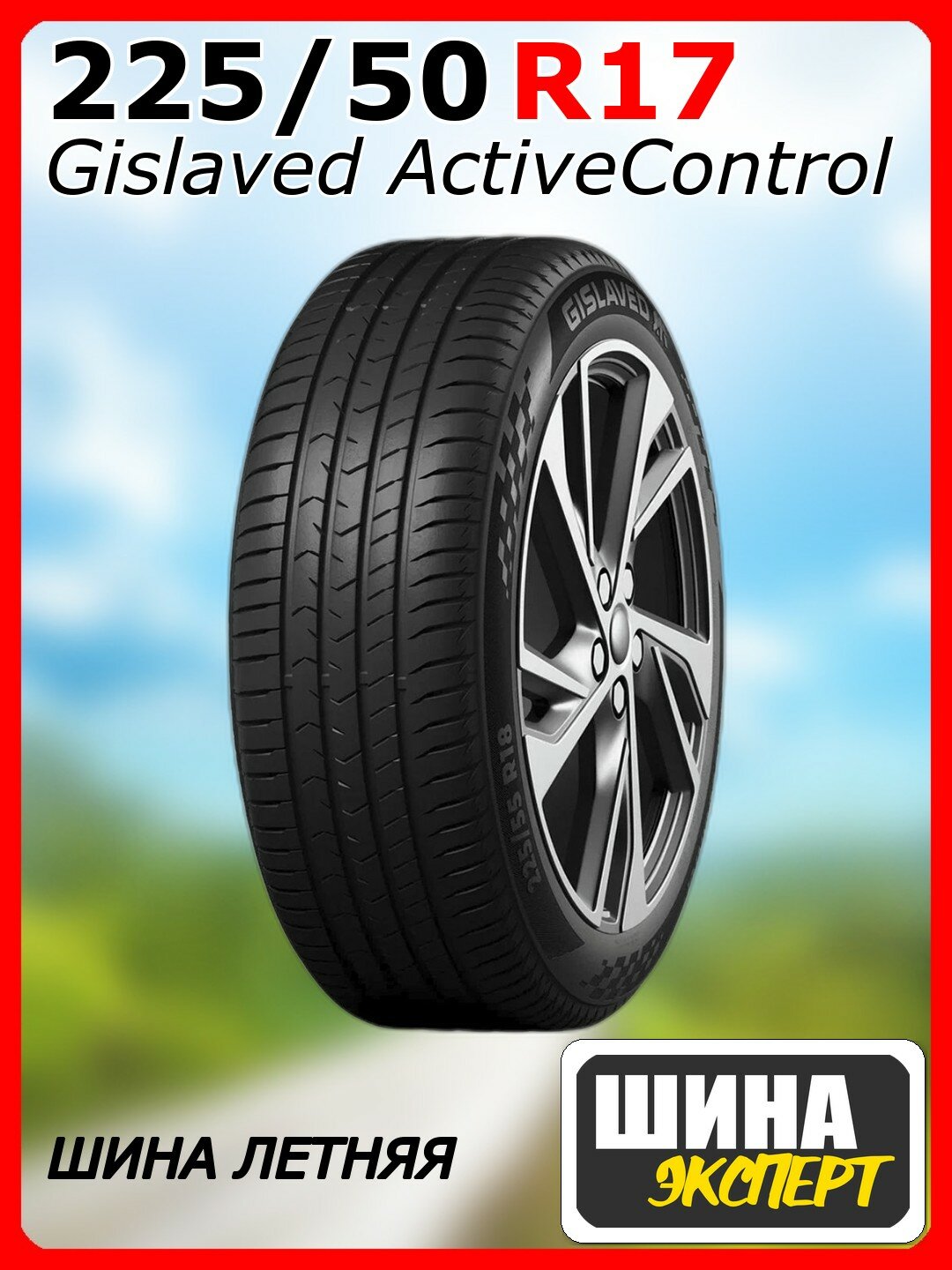Шина летняя Gislaved 225/50/17 W 98 ActiveControl для легковых автомобилей 16100120274