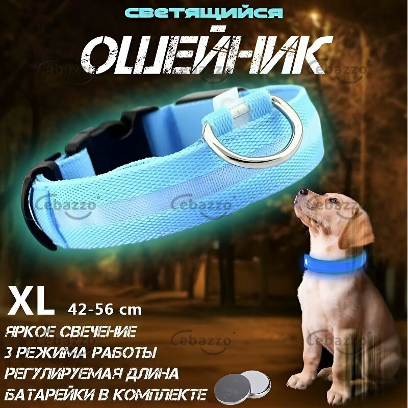 Светящийся ошейник для собак мелких средних и крупных пород светодиодный голубой, размер XLA