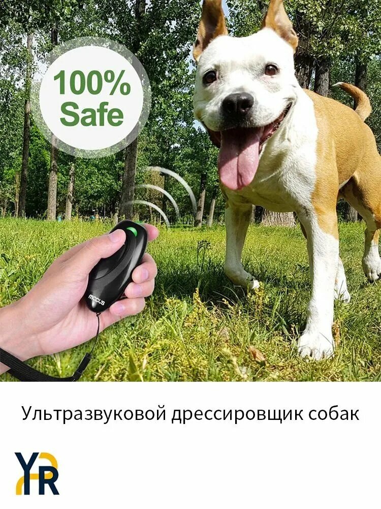 Ультразвуковой дрессировщик собак