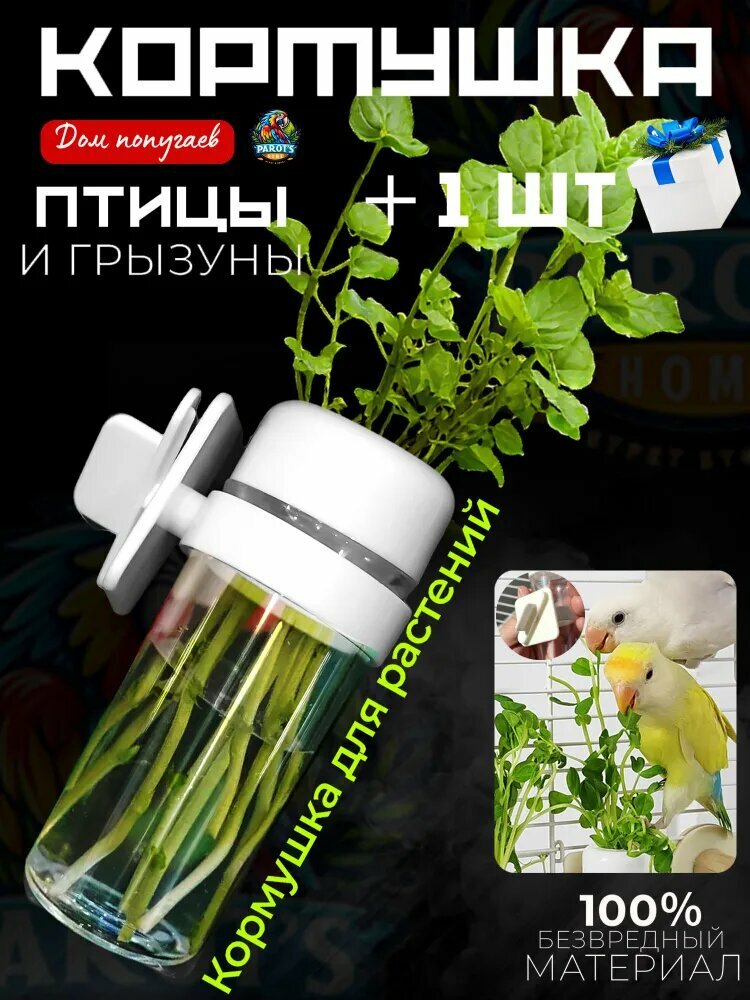 Кормушка для попугаев, охладитель для овощей