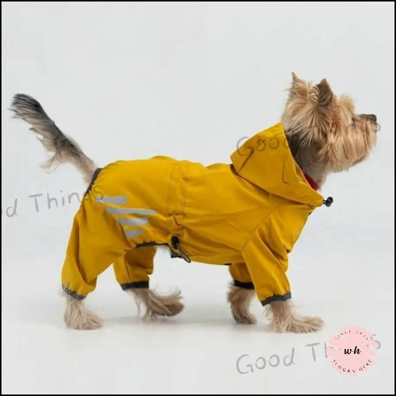Дождевик-комбинезон для собак водонепроницаемый, для мелких и средних пород! Защита от грязи и непогоды