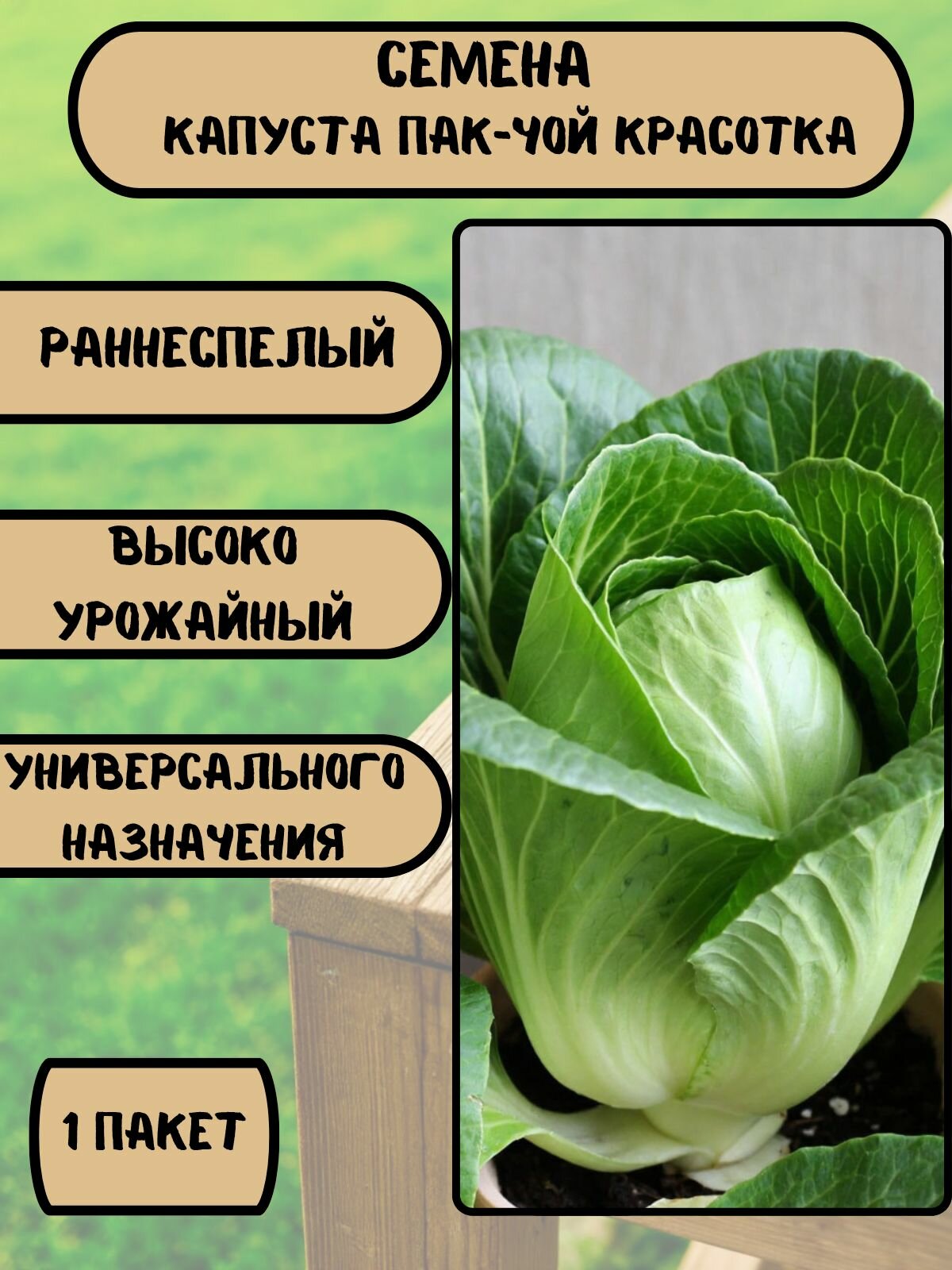 Капуста китайская пак-чой красотка, семена 10 шт