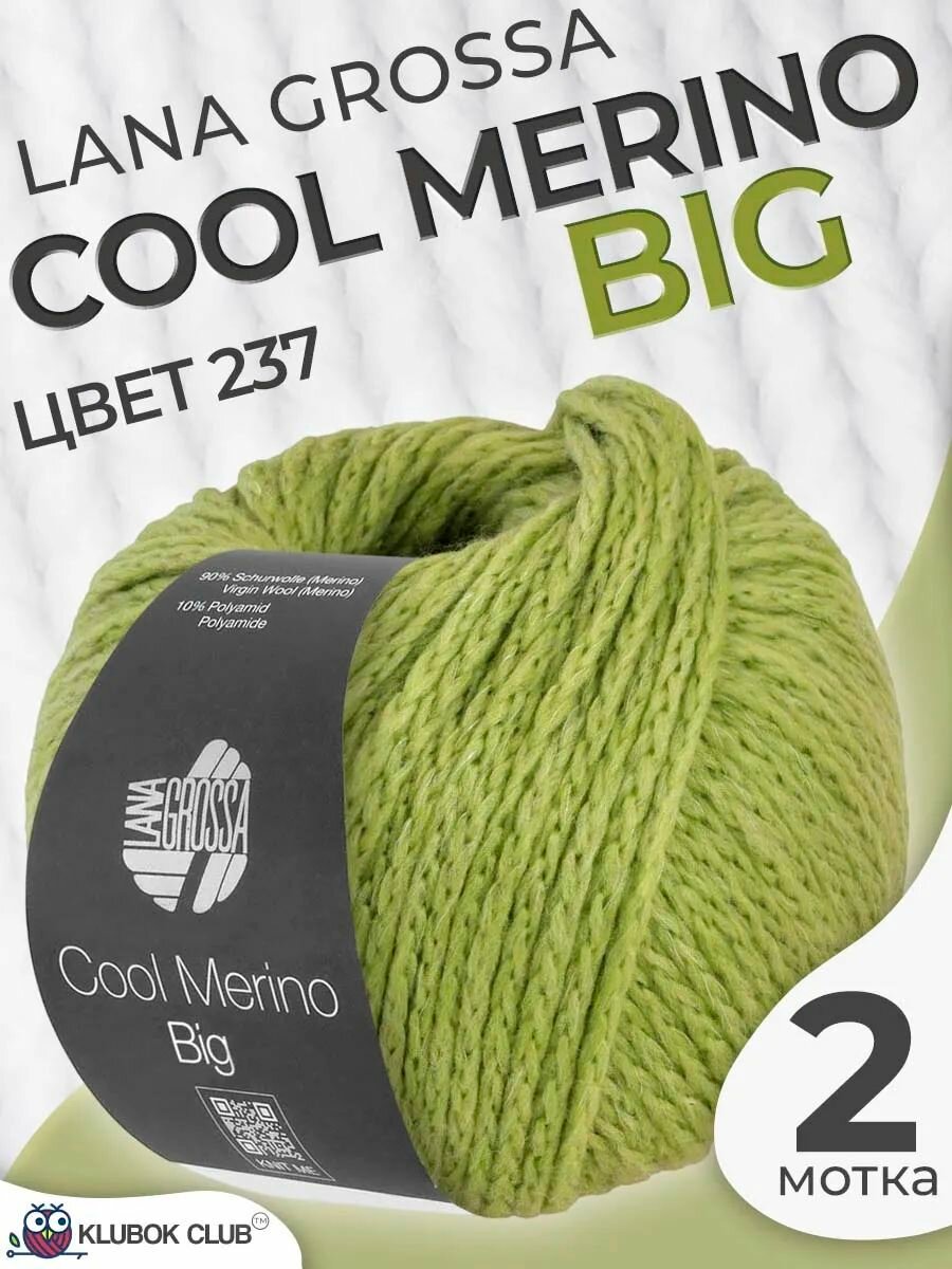 Пряжа для вязания Lana Grossa Cool Merino Big шнурок, цвет 237, 2 мотка