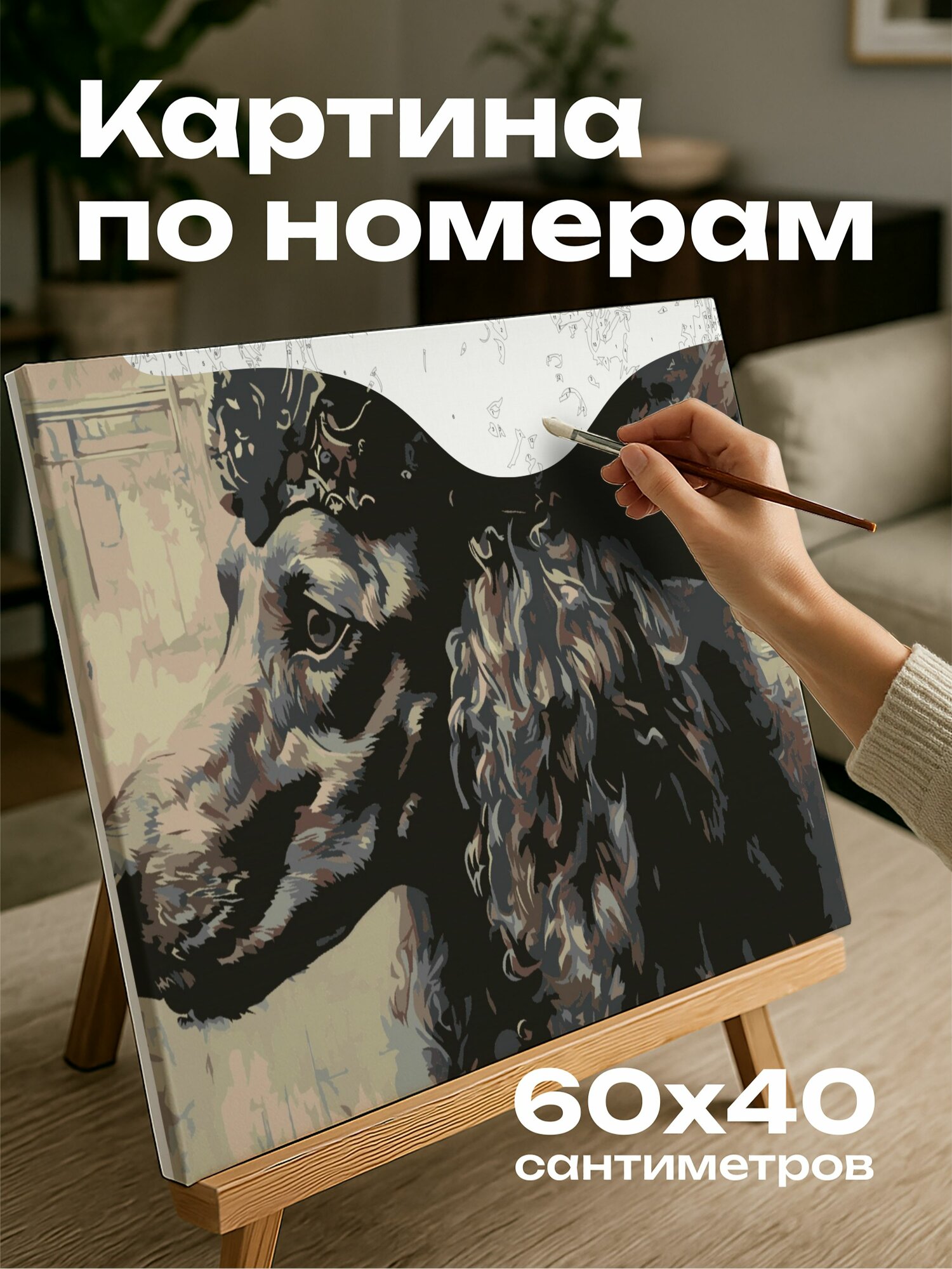 Картина по номерам 60x40 см, пудель, уголь, шляпа, винтаж, декор, элегантность, изысканность, старый свет, роскошь