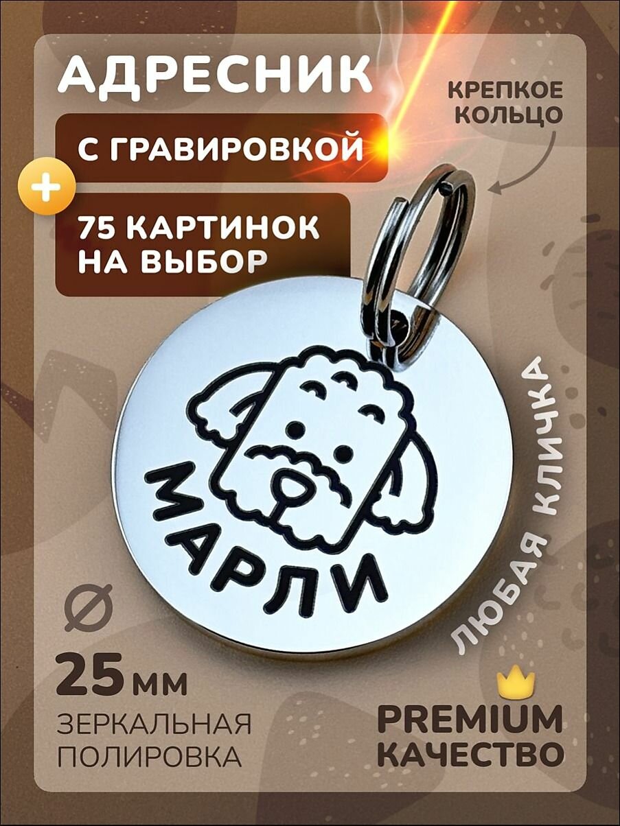 Адресник Anymeow, для собак, серебристый, металл, 25 см x 25 см, с гравировкой