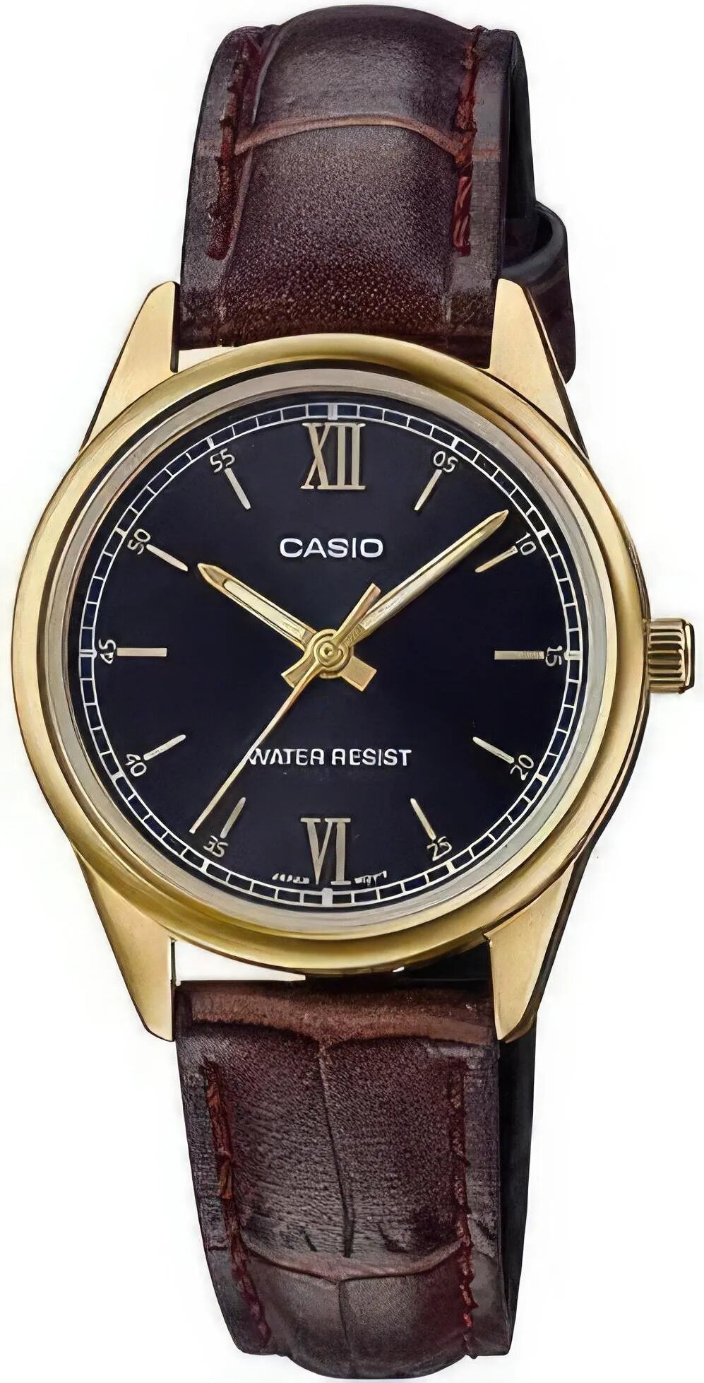  CASIO Collection
