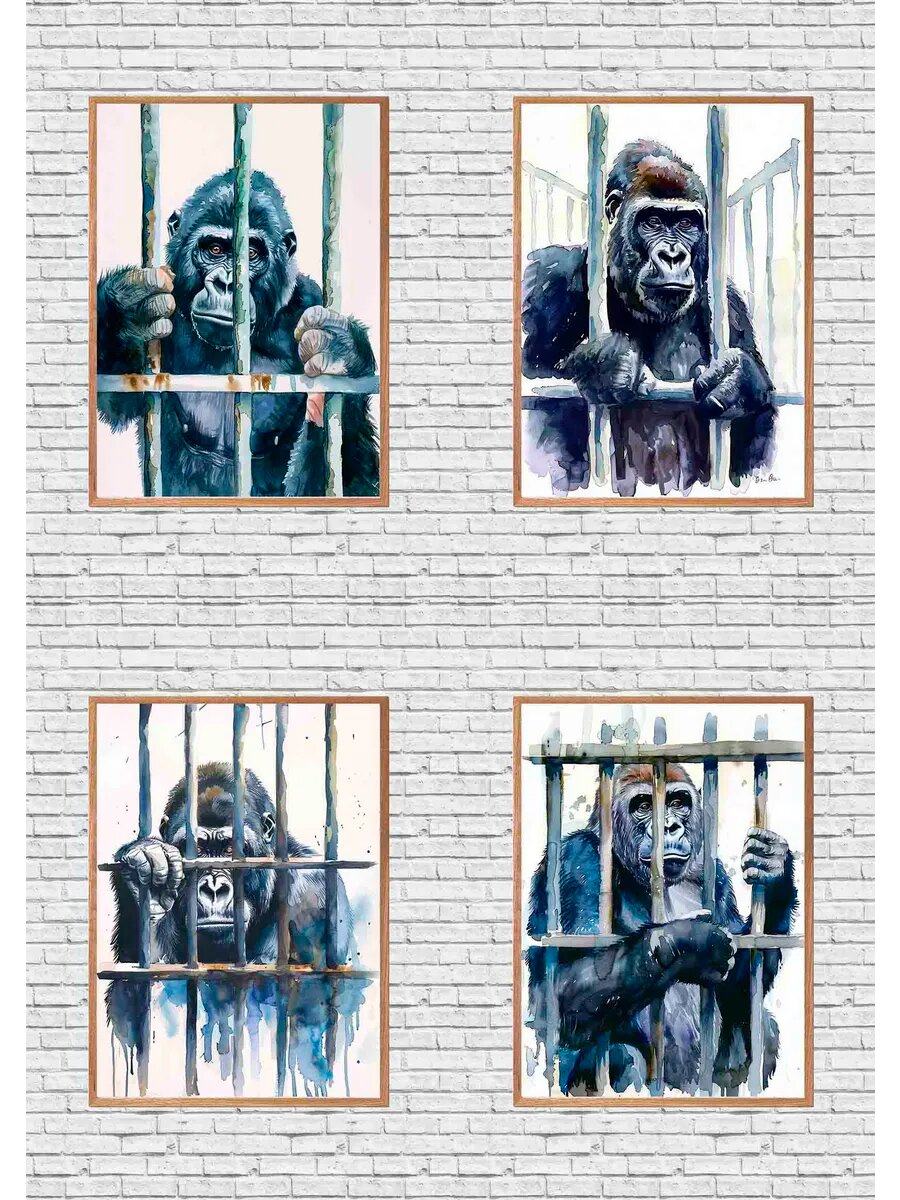 Животное-горилла-преступник в тюрьме, 4 Плаката А3, 30х42 с