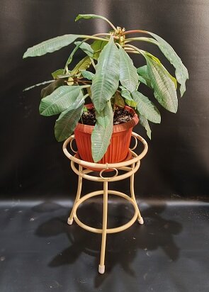 Подставка для цветов "Пион", напольная, металл, на 1 горшок, цвет-слоновая кость