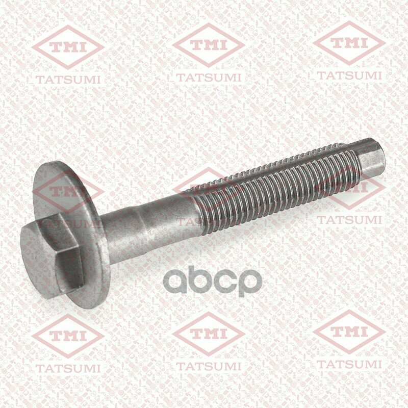 Болт-эксцентрик AUDI A3/Q2/Q3 03->/ SKODA Octavia/Karoq/ Superb 08->/ VW Golf/Jetta/Passat/Tiguan 03-> TATSUMI арт. TJA1053