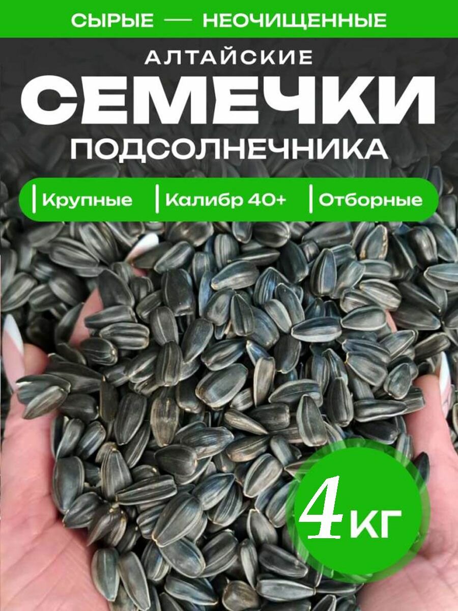 Семечки подсолнечника сырые неочищенные 4 кг. Дары Алтая калибр 40+