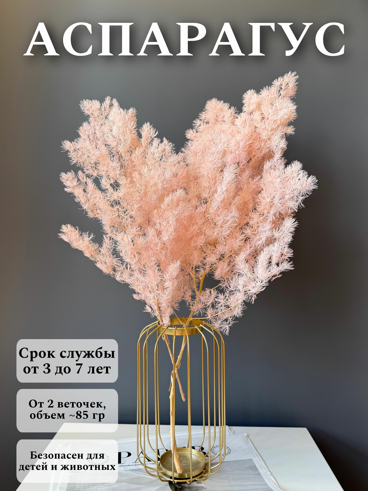 Аспарагус стабилизированный натуральный сухоцвет для декора