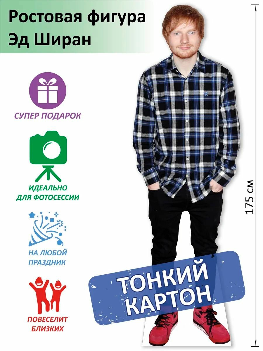 Эд Ширан Ростовая фигура 1, Тонкий картон, (Print100.ru), 175см