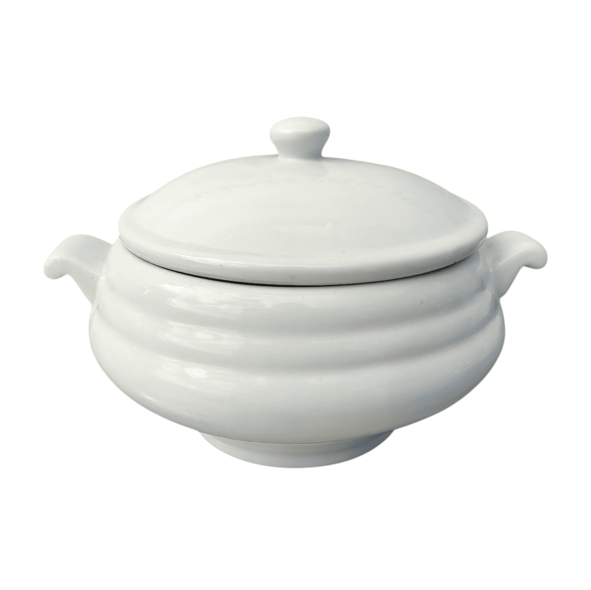 Супница с крышкой 25x15 200мл