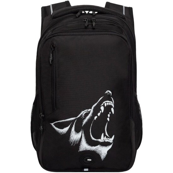 Рюкзак Grizzly ANGER 42х31х22 см RU-538-4/1