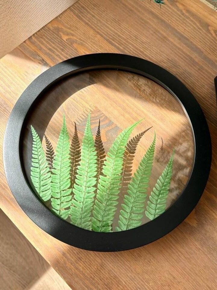 Воздушная картина 25 см черная декоративная со стабилизированными цветами, папоротник, настенная интерьерная, сухоцветы, искусственные цветы Molecula Decor