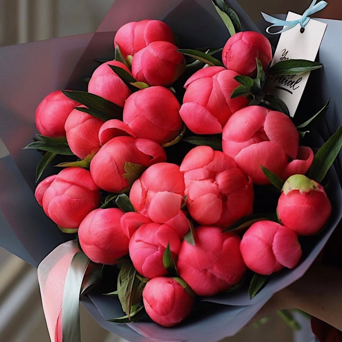 Букет из коралловых пионов 19 шт, красивый букет цветов, шикарный, премиум цветы, премиум букет