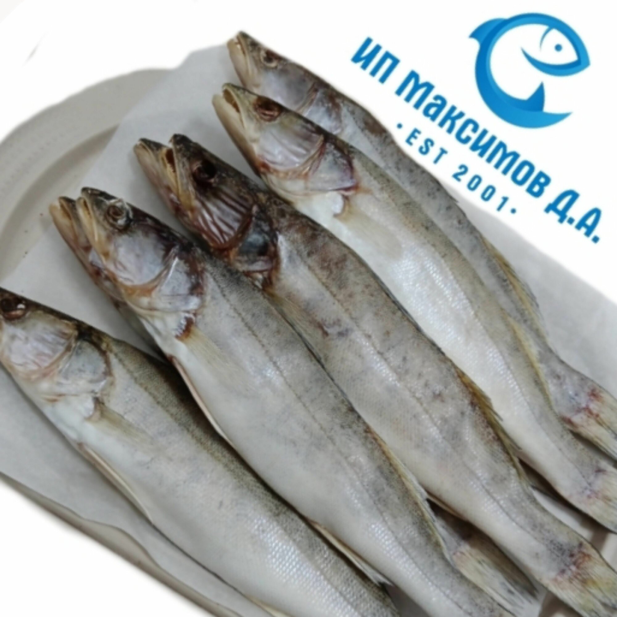 Судак, Астраханский, в/у 1000 грамм