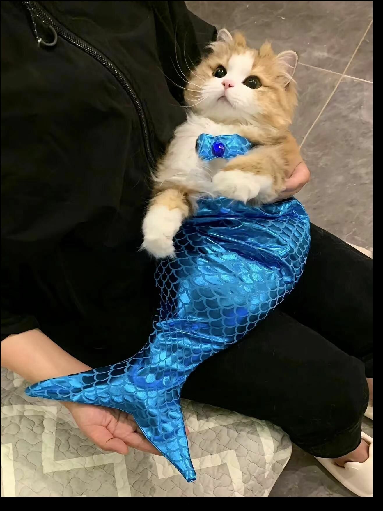 Купальник русалки для кошек и собак, кошка забавный Карнавальный костюм с рыбьим хвостом S(5-12г)