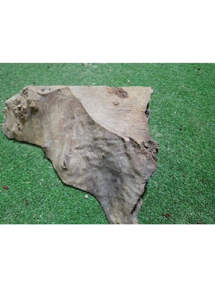 Слэб массив каповый тополь (310-260-70мм)