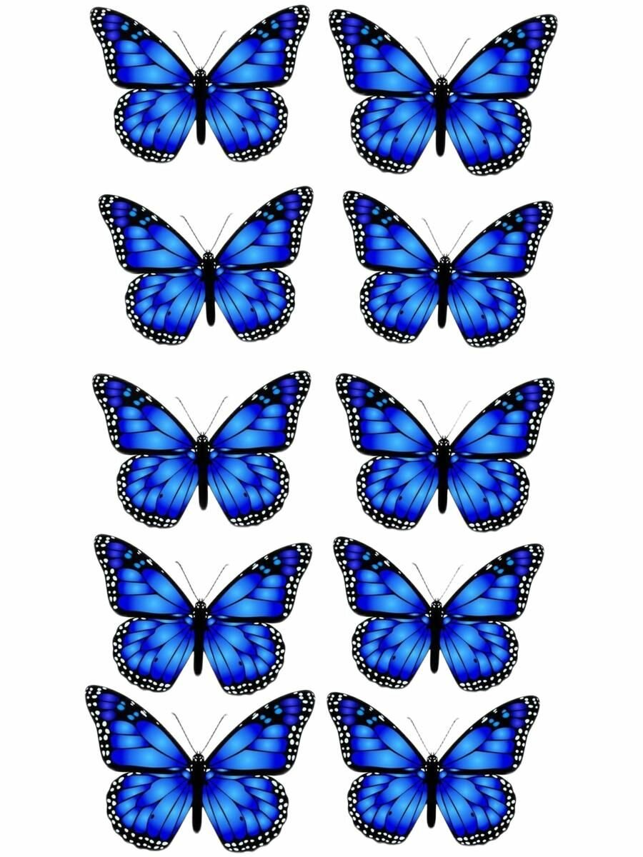 Бабочки для букета 20 шт синие