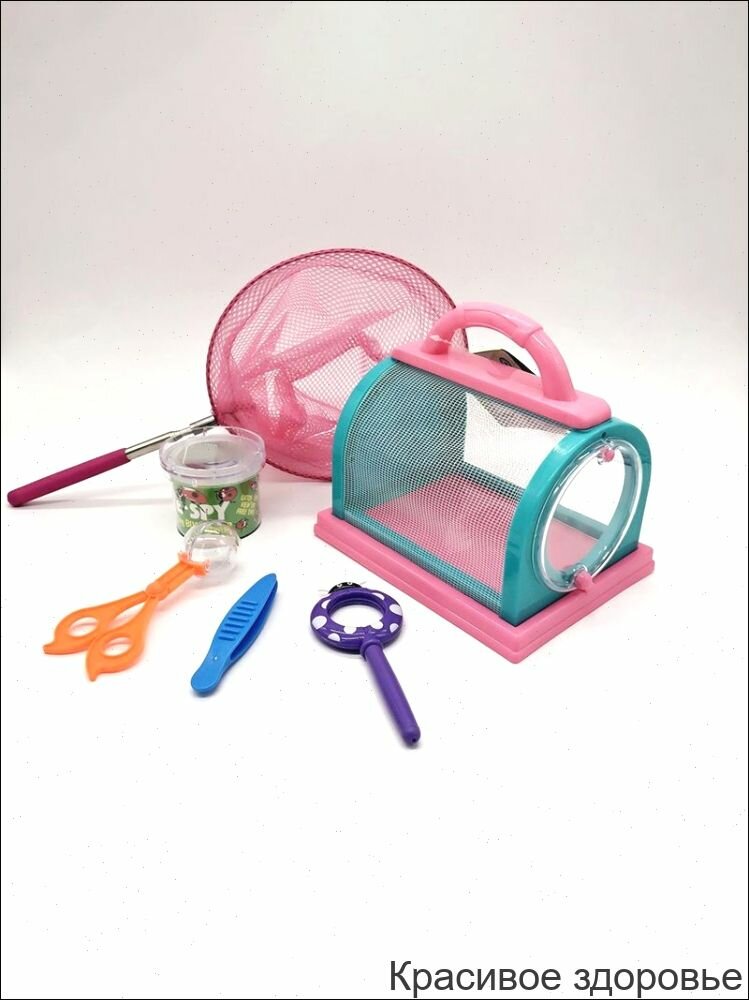 Ферма Бабочек Для Выращивания