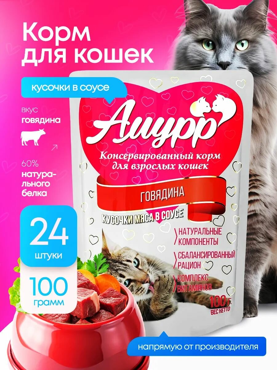 Корм для кошек влажный Амурр , полнорационный Говядина в соусе, 24 шт по 100 гр.
