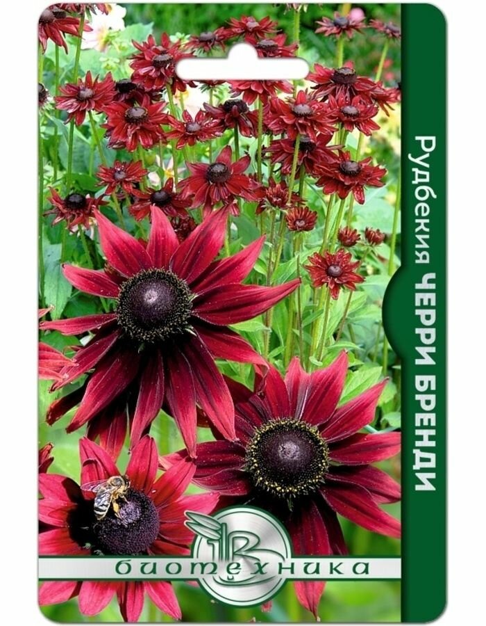 Семена Рудбекия Черри Бренди Биотехника