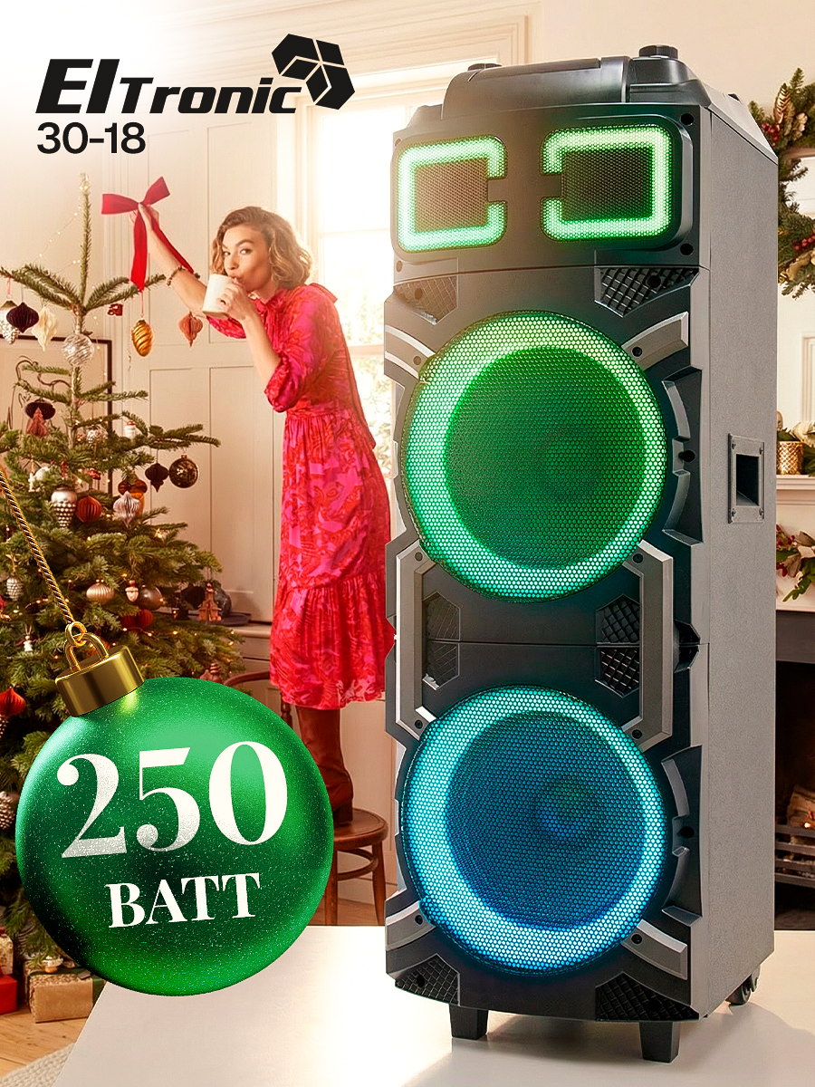 Колонка беспроводная ELtronic 30-18 с 2мя микрофонами, FM-радио и функцией TWS