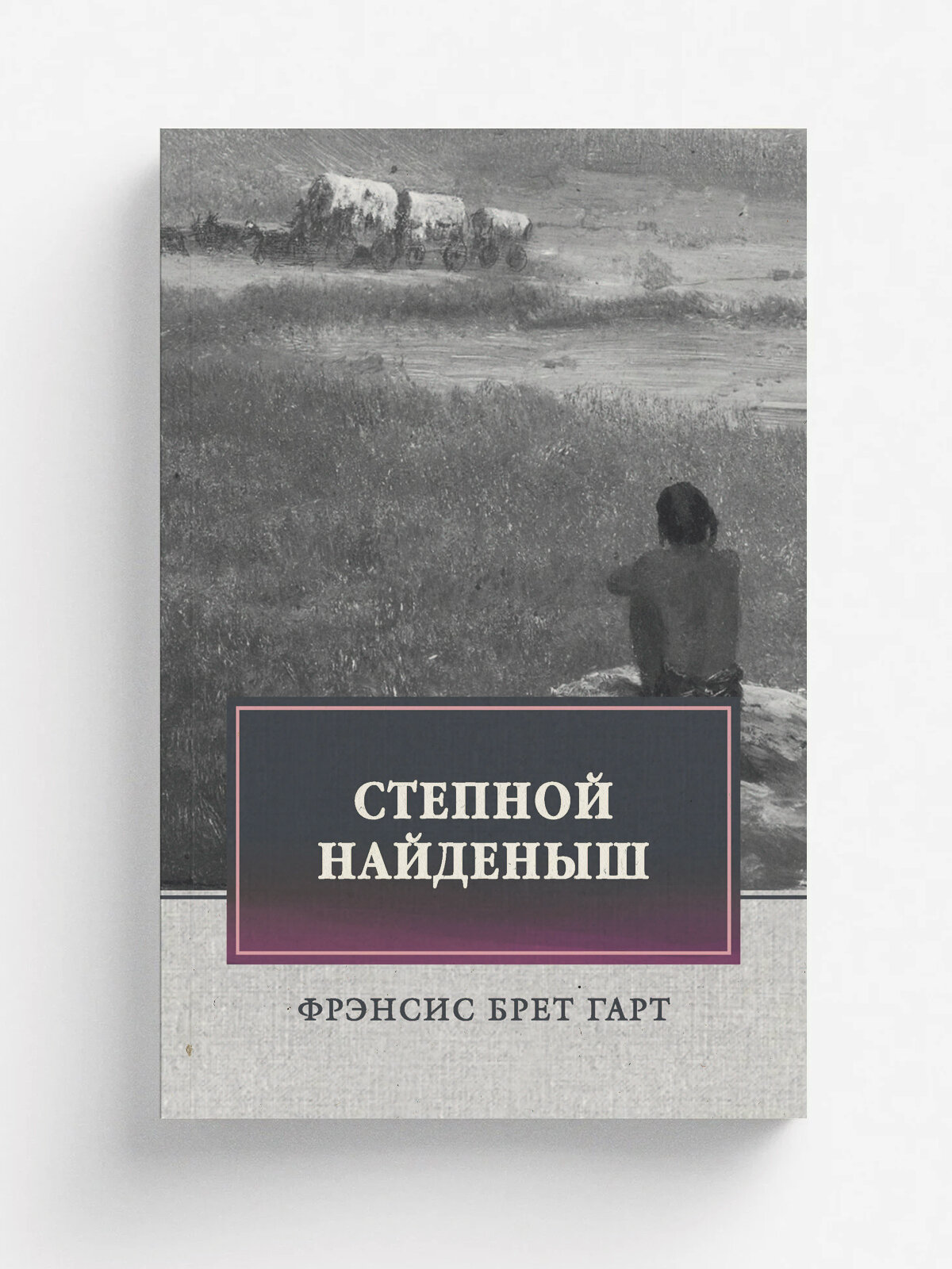 Степной найденыш