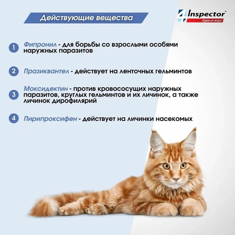 Капли Inspector Quadro, для кошек, 1-4 кг, от блох, клещей и гельминтов 1 упаковка — фото 1