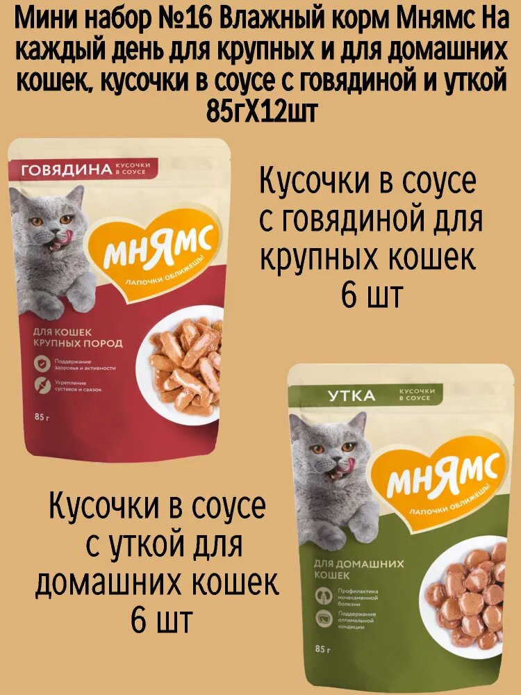 Мини набор №16 Влажный корм Мнямс для взрослых кошек, кусочки в соусе с говядиной и уткой, 12 шт х 85 гр