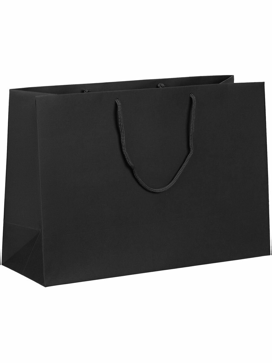 Подарочный пакет праздничный бумажный, упаковка подарка 35х24х12 Ample Plus M, черный