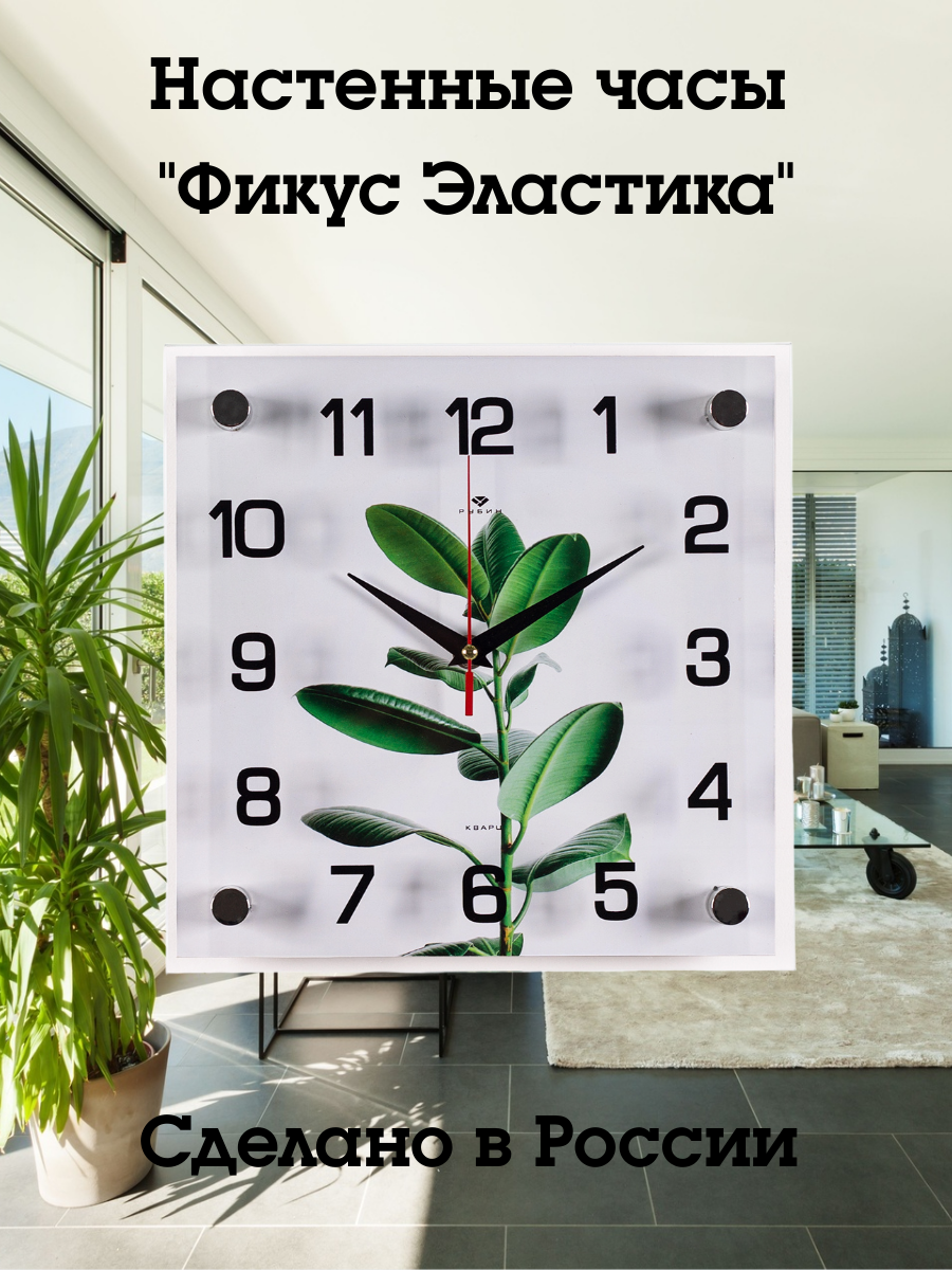 Часы настенные Рубин "Фикус Эластика" квадратные, кварцевые, бесшумный механизм, 25х25см, стеклянные