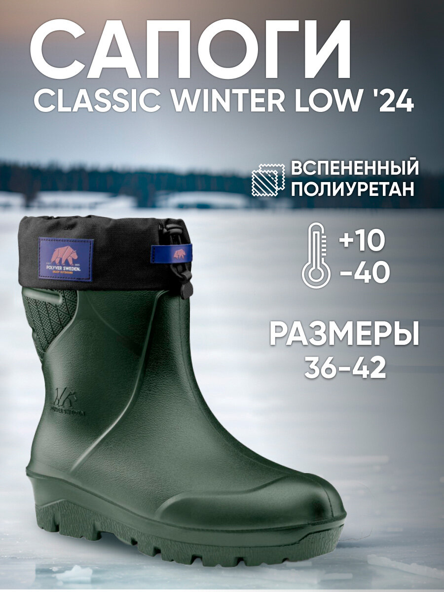 Сапоги