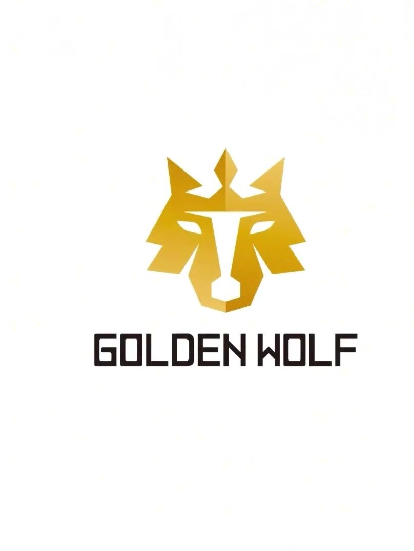 Рюкзак мужской городской, школьный для мальчика, Golden wolf GB00731, для ноутбука, водонепроницаемый, объем 17л.