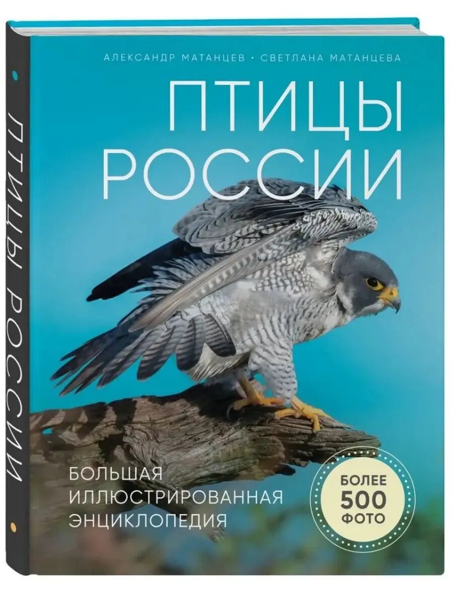 Александр Матанцев. Птицы России. Большая иллюстрированная энциклопедия