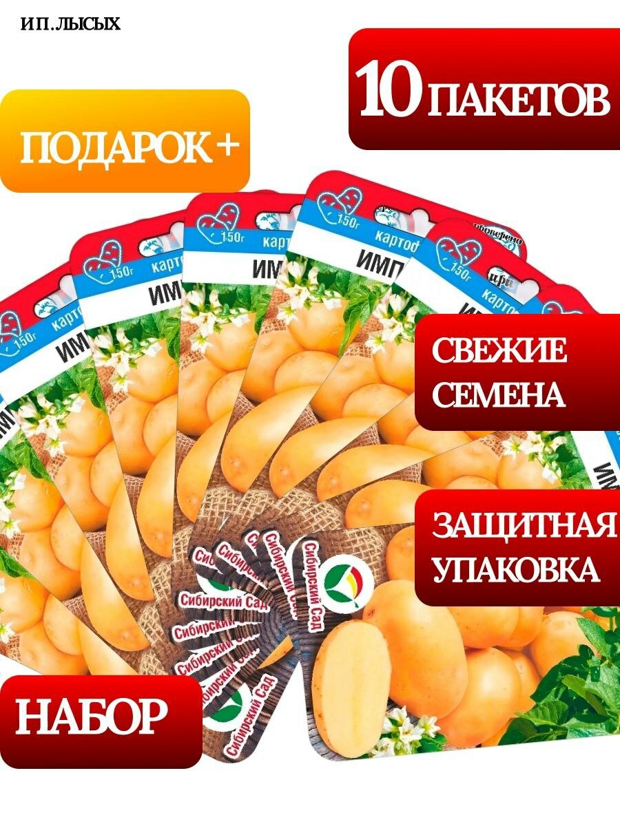 Семена Картофель "Импала"