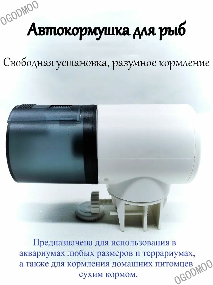 Автокормушка — фото 1