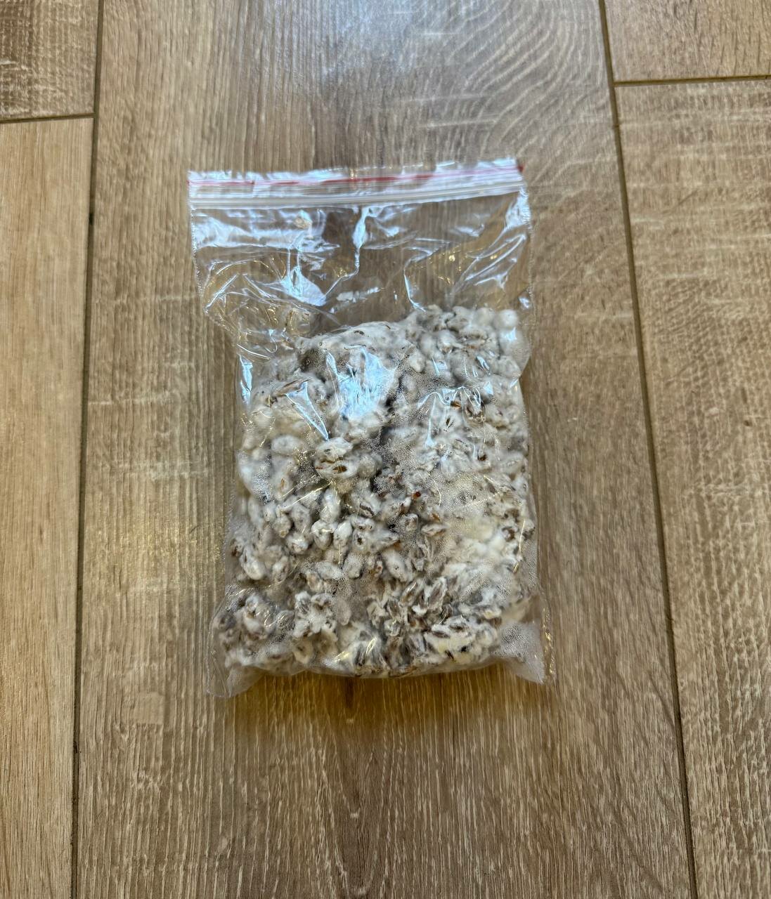 Мицелий грибов вешенка зерновой (штамм НК35) - 100 гр грамм