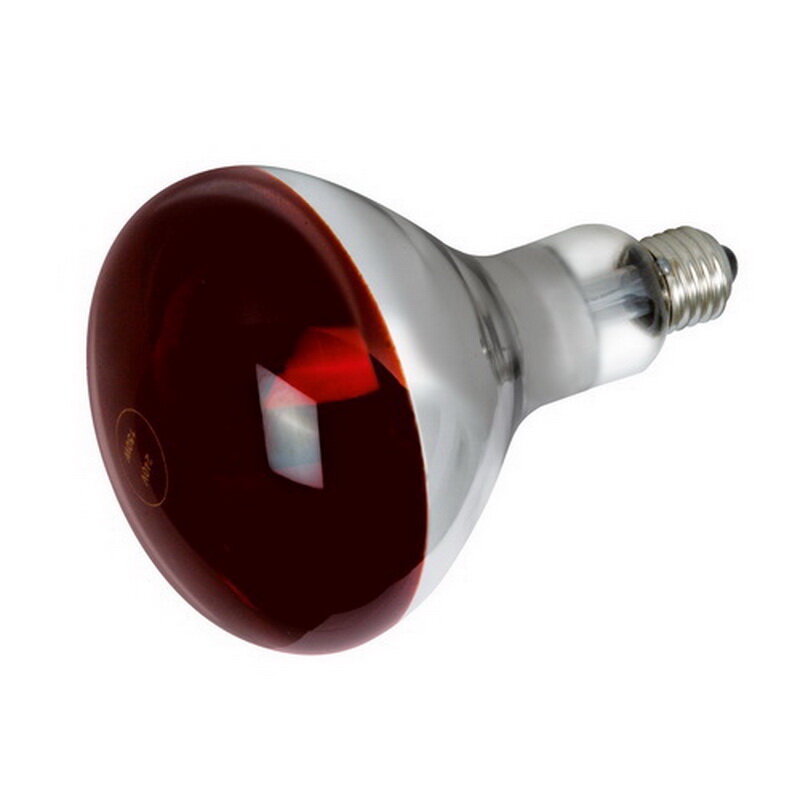 LightBest Лампа инфракрасная ERK R125 250W E27 RED 700109011