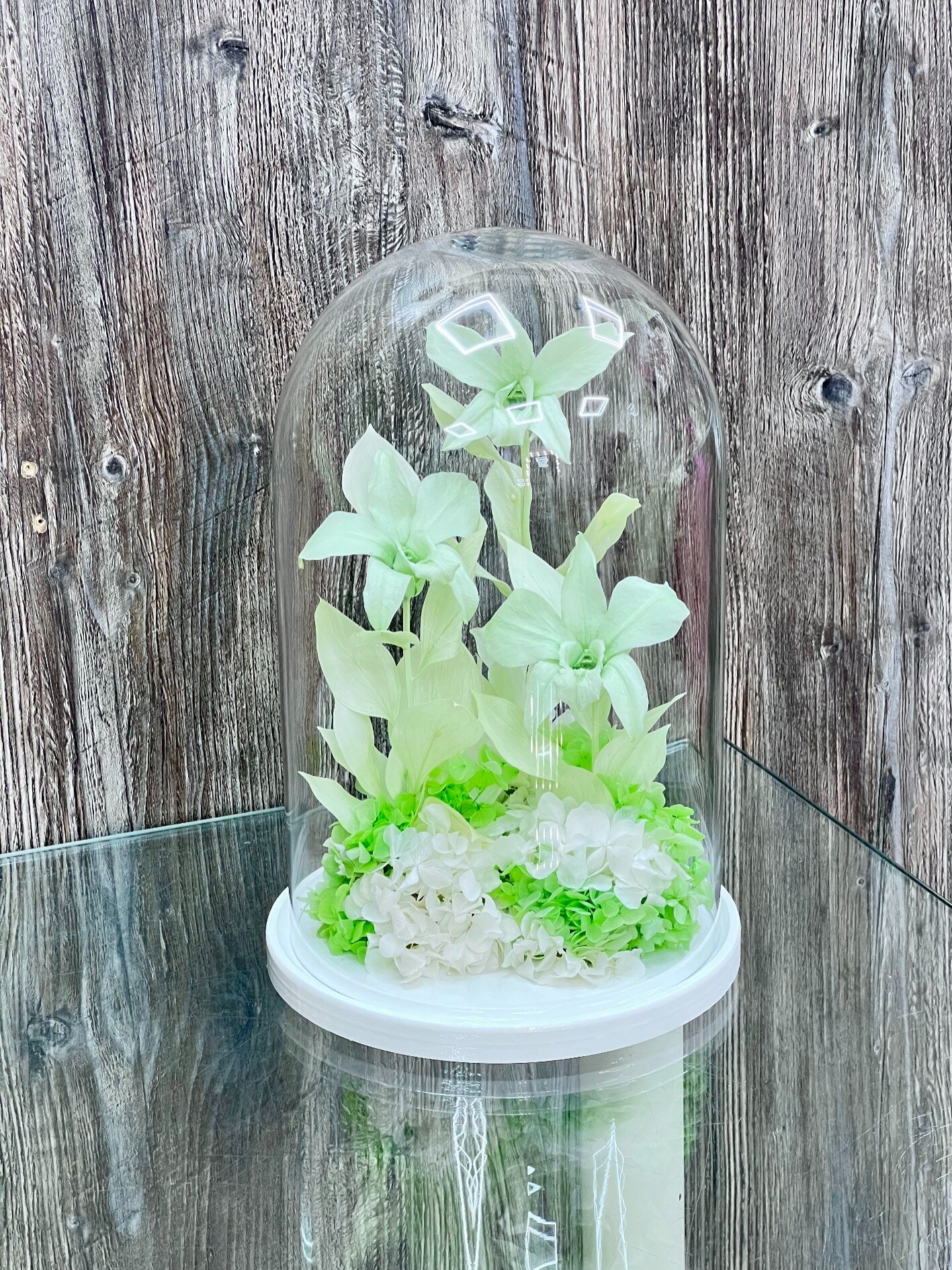 Композиция «Гармония Орхидей» из стабилизированных орхидей в колбе - живет 5 лет! 32 см