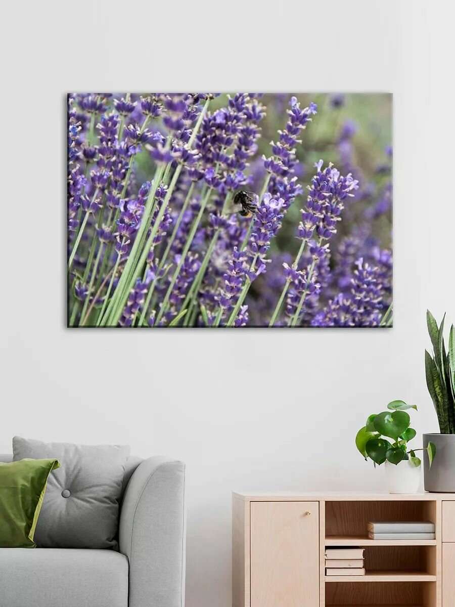 Картина на стену "Лавандовые поля", 70x50 см