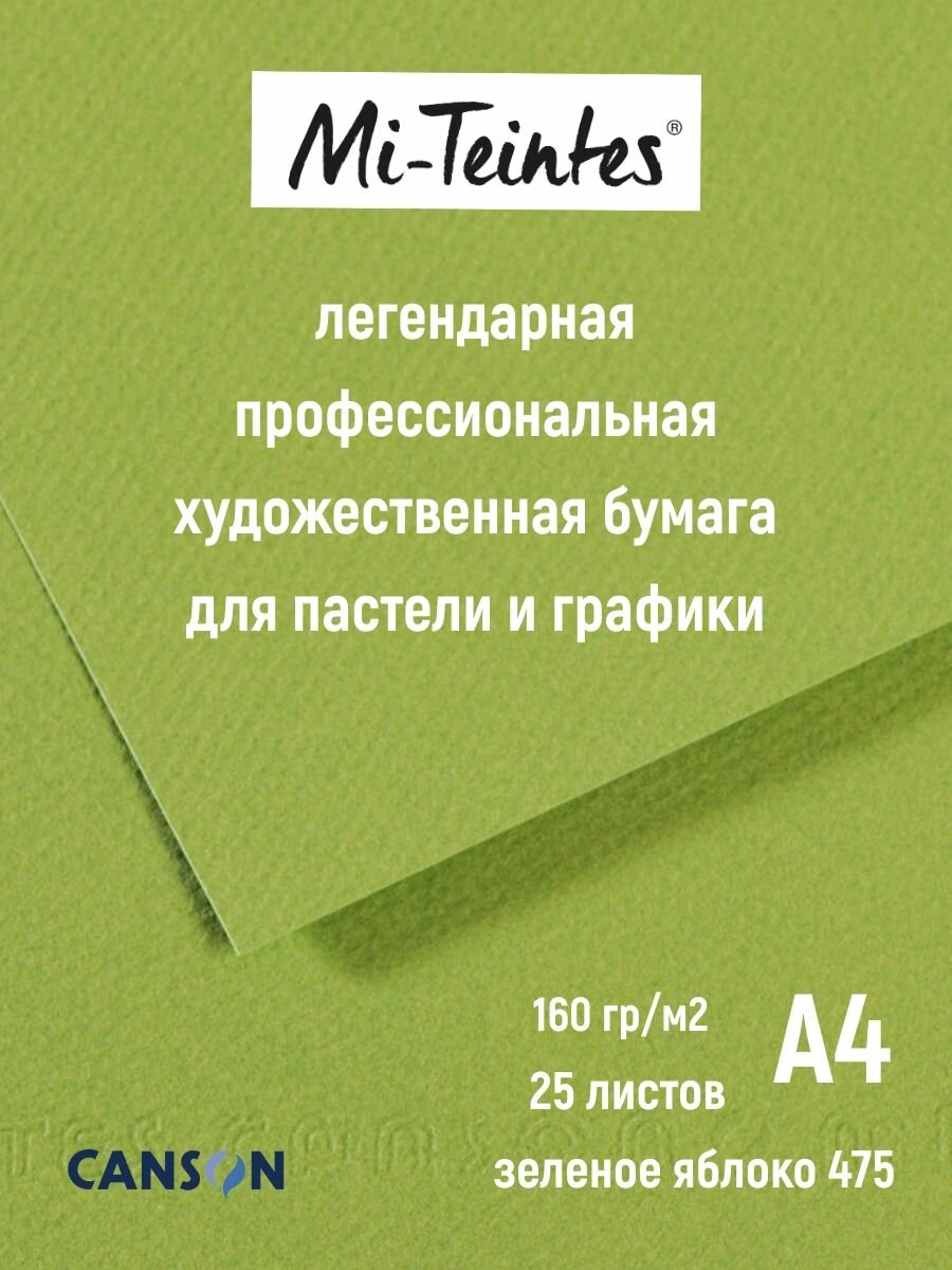 CANSON Mi-Teintes бумага для пастели 160 г/м2, 25 листов A4 21 х 29.7 см, №475 Зеленое яблоко C31032S021