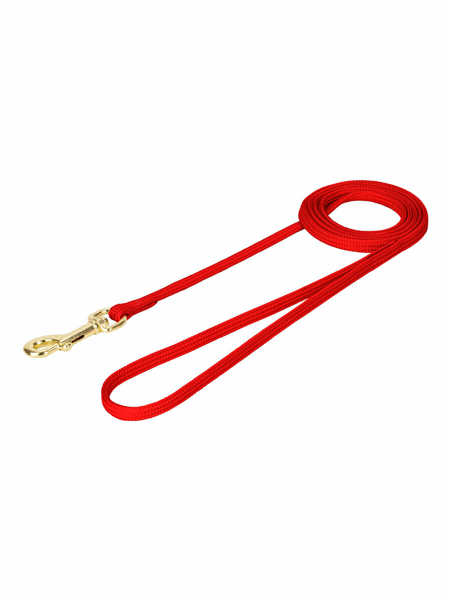 Поводок для собак с золотым карабином Zoo One, длина 120 см, нейлоновый, ширина 7 мм, красный, 73-2472