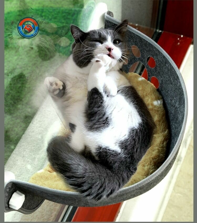 Гамак для кошек на окно с прочными присосками, мягкий войлочный подоконник для животных, уютное лежак-солнце 360 , компактный кошачий домик экономия места