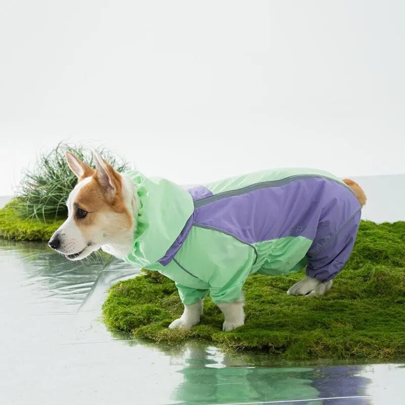 Комбинезон для собак мелких пород Одежда для корги и такс