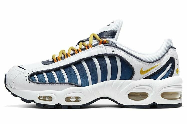 Кроссовки Air Max Tailwind 4