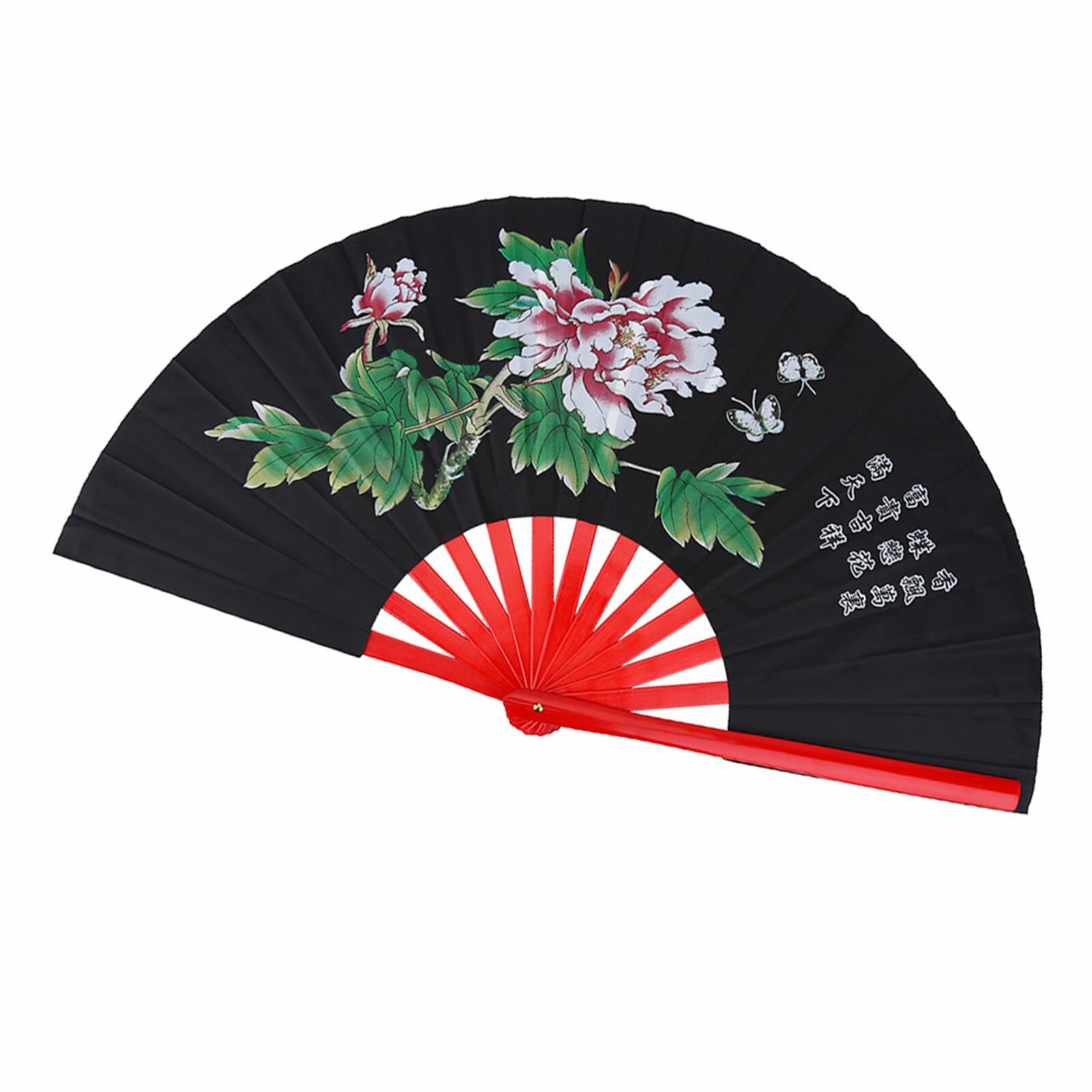 Поклонник тайцзицюань