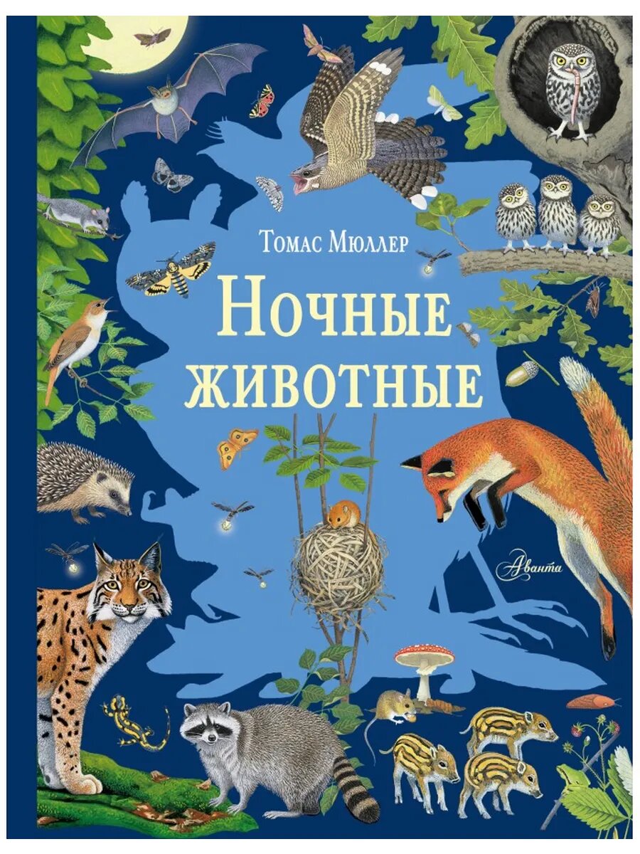 Ночные животные